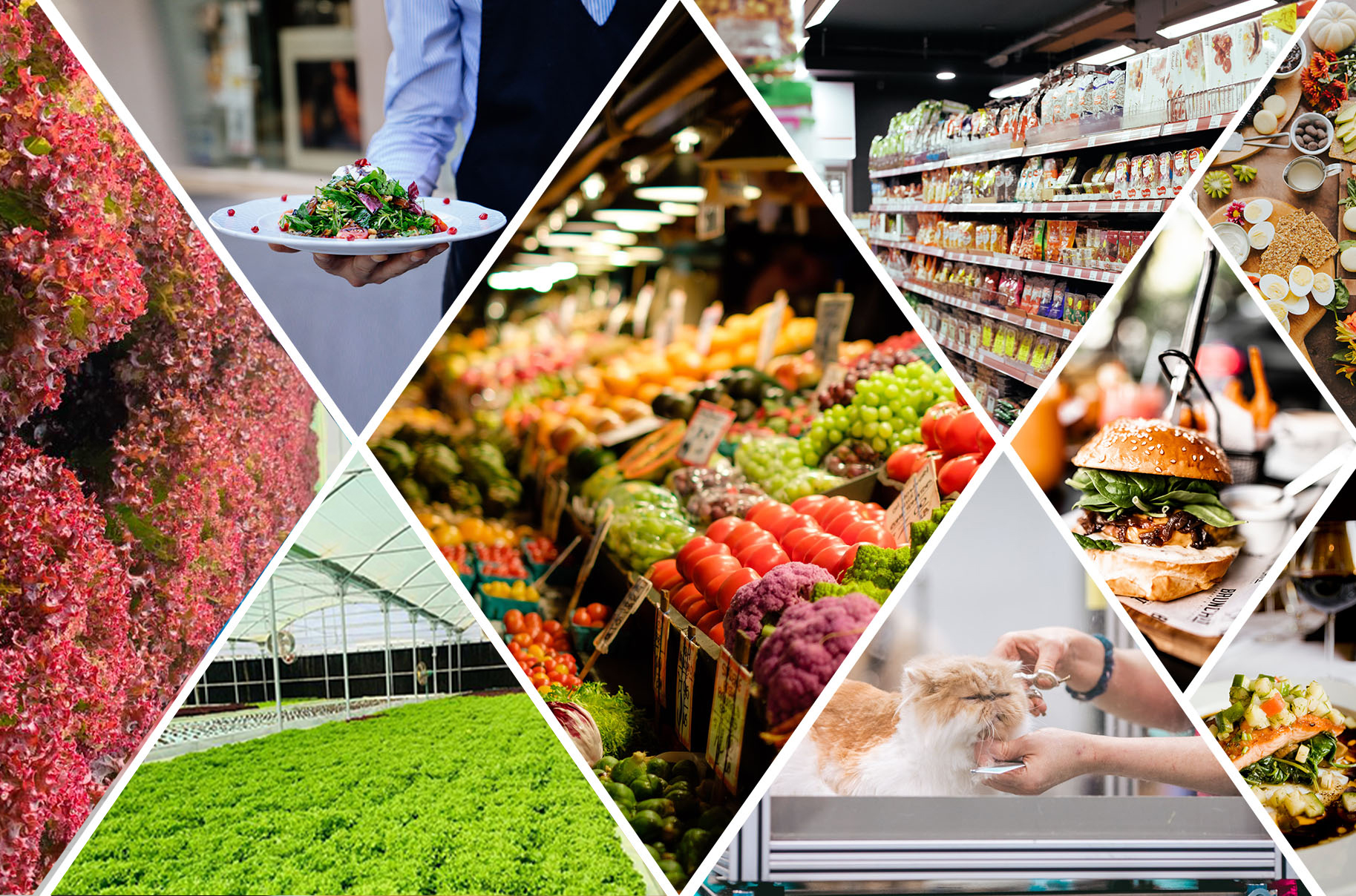 Iris Group of Companies – Reliability. Built on Trust.